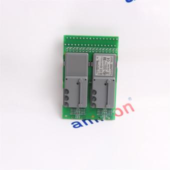 ICS TRIPLEX T9802 Digital Input Module Supplier,ICS TRIPLEX T9802 ...